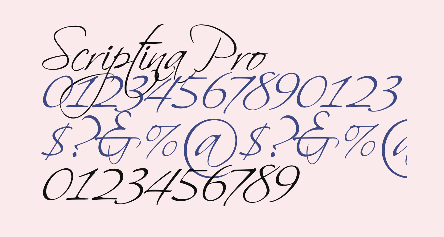 Scriptina Pro free Font - What Font Is