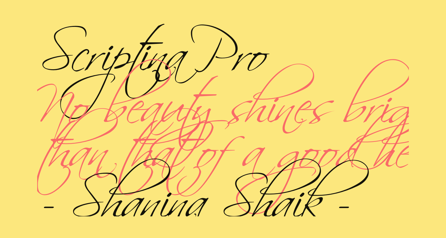 Scriptina Pro free Font - What Font Is