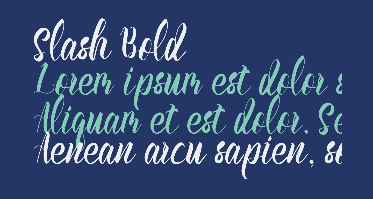 Slash Bold free Font - What Font Is