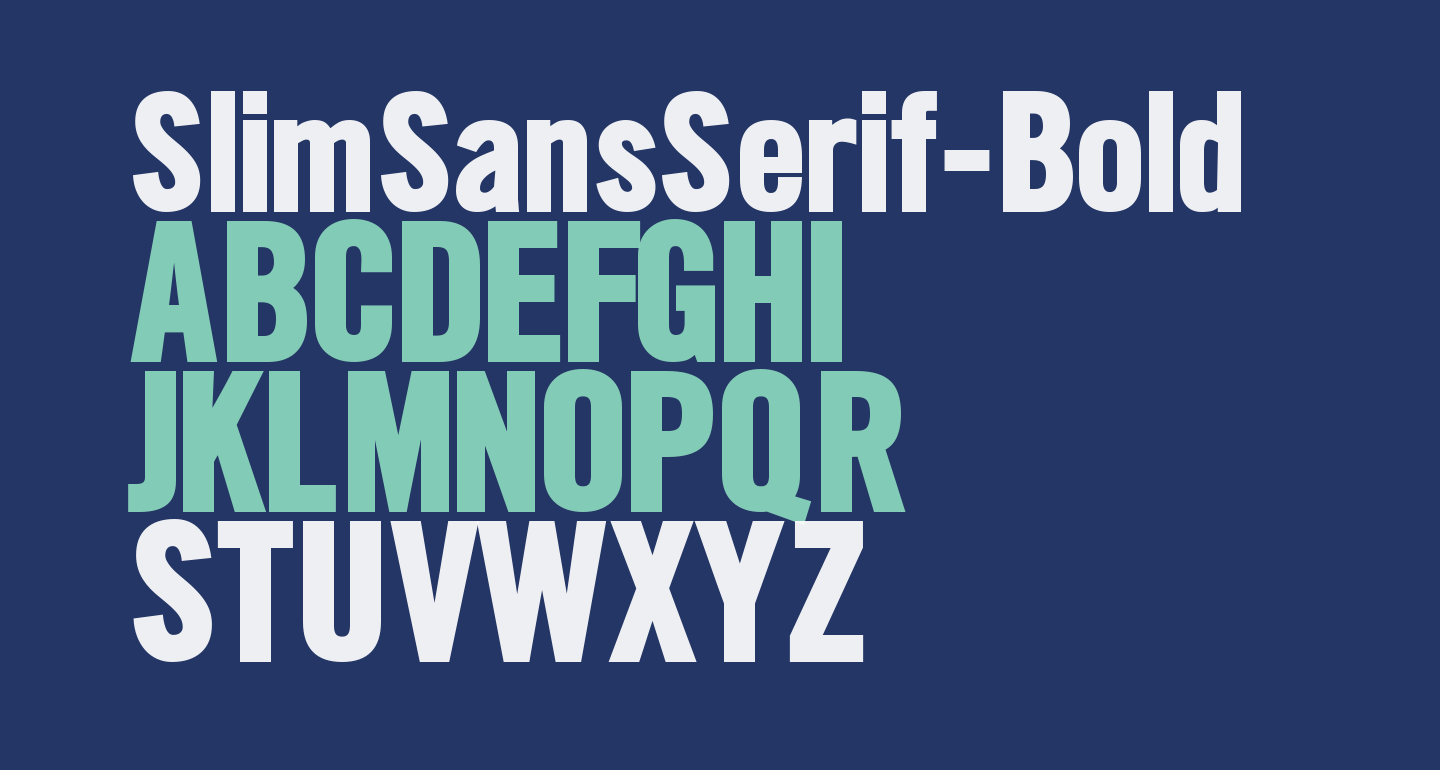 SlimSansSerif-Bold free Font - What Font Is