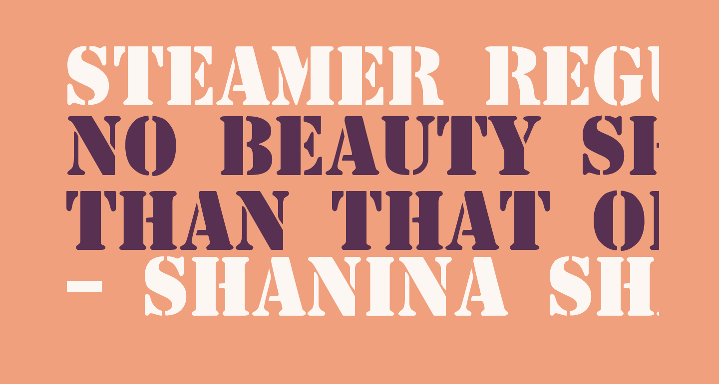 Steamer Regular free Font - What Font Is