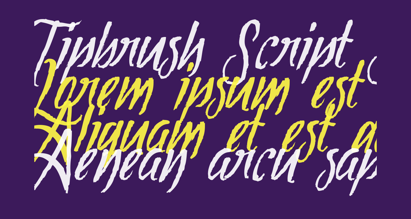 Tipbrush Script Slanted free Font - What Font Is