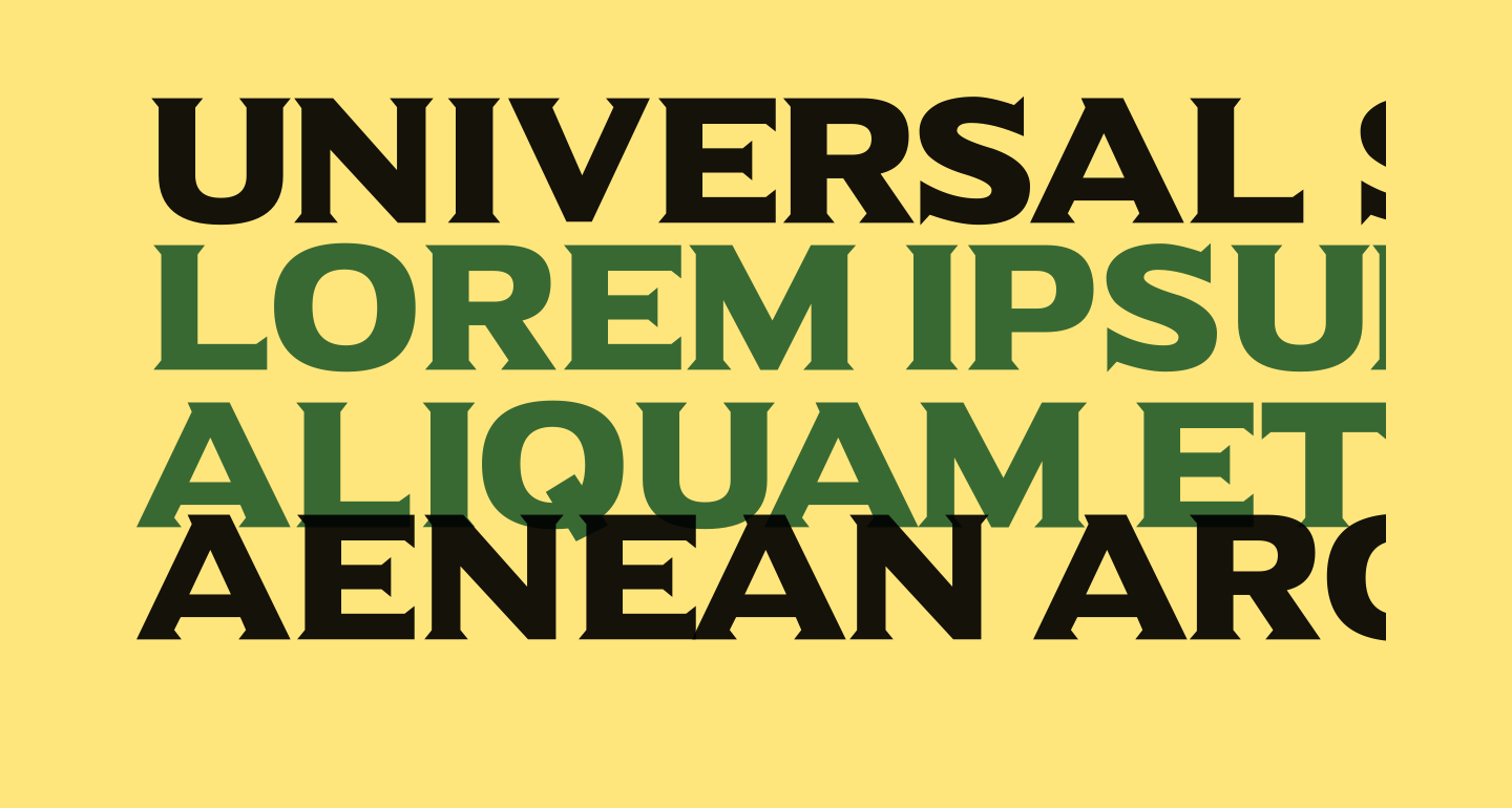 Universal Serif free Font - What Font Is