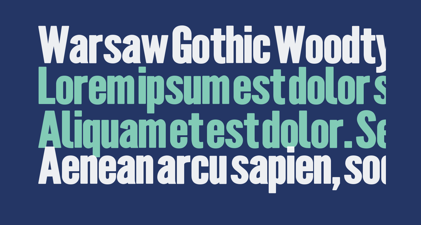 Warsaw Gothic Woodtype free Font - What Font Is