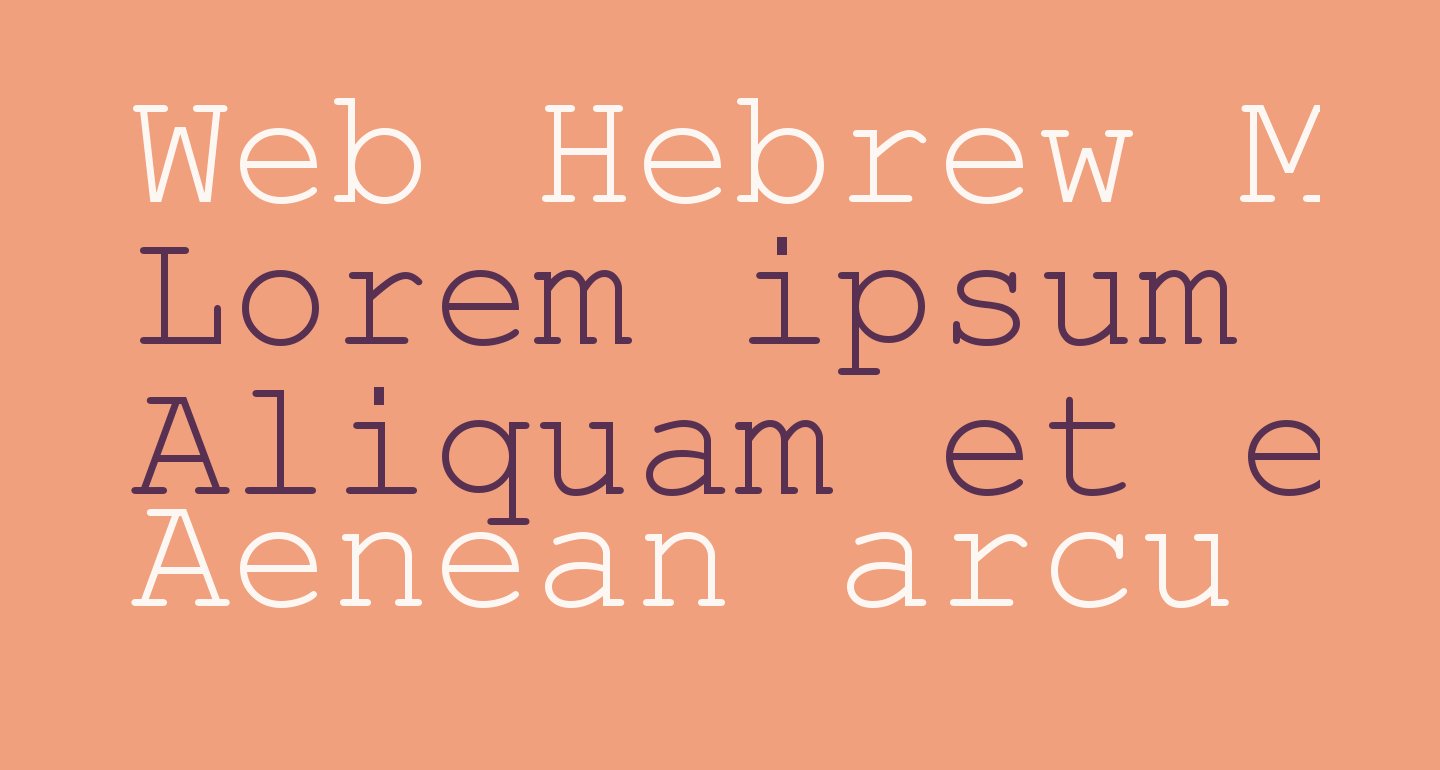 Web Hebrew Monospace free Font - What Font Is