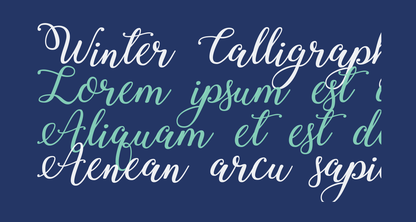 Winter Calligraphy free Font - What Font Is